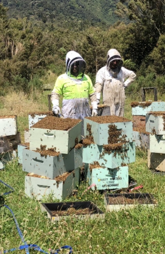 9F0A8DBA-C181-4C74-B294-3FA5E49BA666.jpeg | NZ Beekeepers