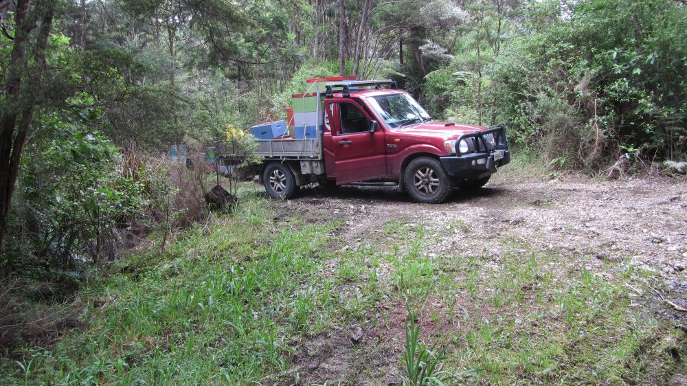 bush site small.jpg | NZ Beekeepers