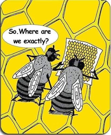 cartoon bee map | NZ Beekeepers